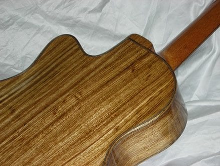 The Rich Gypsy Guitar | Benedetto Guitars